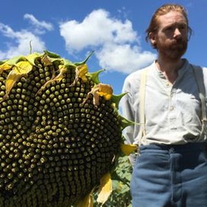 The Red Fool - Rotten Tomatoes