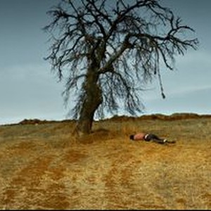 The Wild Pear Tree - Rotten Tomatoes