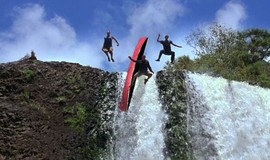 Without a Paddle - Rotten Tomatoes