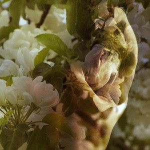 Velvet Sky - Rotten Tomatoes