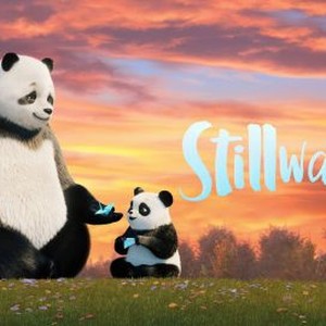 Stillwater - Rotten Tomatoes