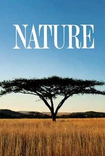 Nature: Season 43 | Rotten Tomatoes