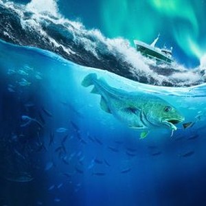 Ice Cold Catch - Rotten Tomatoes