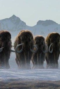 Life on Our Planet: Season 1, Episode 8 | Rotten Tomatoes