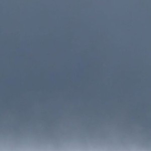 Angry Inuk - Rotten Tomatoes