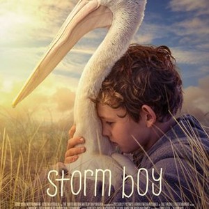 Storm Boy - Rotten Tomatoes
