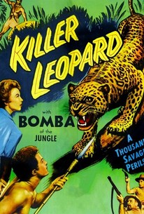 Killer Leopard | Rotten Tomatoes