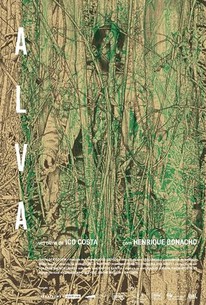 Alva | Rotten Tomatoes