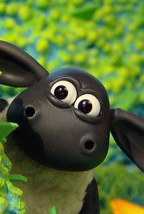 Timmy Time: Season 1, Episode 12 | Rotten Tomatoes