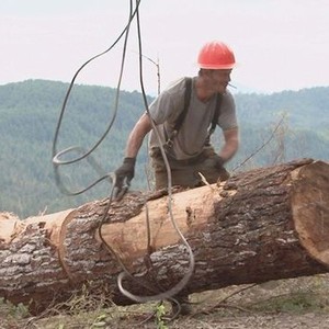 Ax Men - Rotten Tomatoes