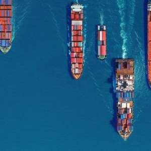 Out of Stock: Supply Chain Crisis - Rotten Tomatoes