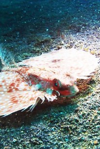 What Sam Sees: Season 1, Episode 4 | Rotten Tomatoes