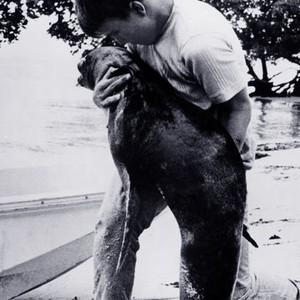 Salty - Rotten Tomatoes