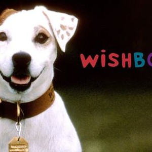 Wishbone: Season 1, Episode 19 - Rotten Tomatoes