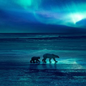 Planet Earth: Frozen Planet II - Rotten Tomatoes