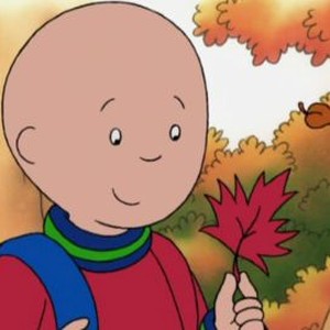 Caillou: Season 2, Episode 33 - Rotten Tomatoes