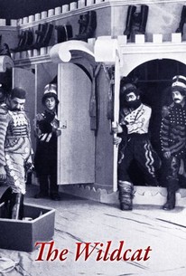 The Wildcat | Rotten Tomatoes