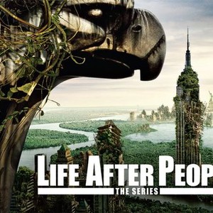 Life After People - Rotten Tomatoes