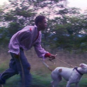 Dog Jack - Rotten Tomatoes