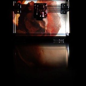 Precious Little Things - Rotten Tomatoes