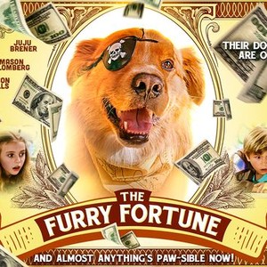 The Furry Fortune - Rotten Tomatoes