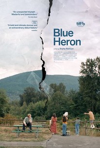Blue Heron | Rotten Tomatoes