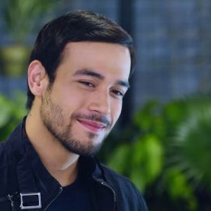 MOMOL Nights - Rotten Tomatoes