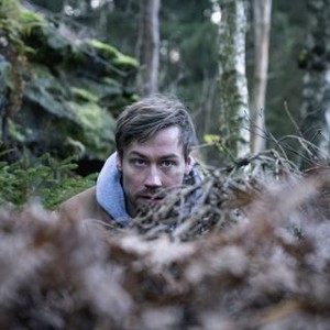 Prey - Rotten Tomatoes