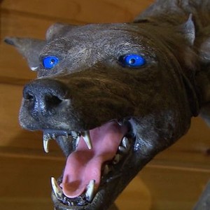 The Monster Project - Rotten Tomatoes