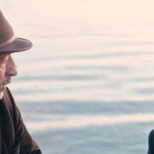 Tom Medina - Rotten Tomatoes