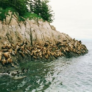 Sacred Planet - Rotten Tomatoes