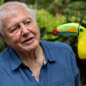 Attenborough's Life in Colour - Rotten Tomatoes