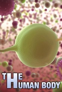 The Human Body | Rotten Tomatoes