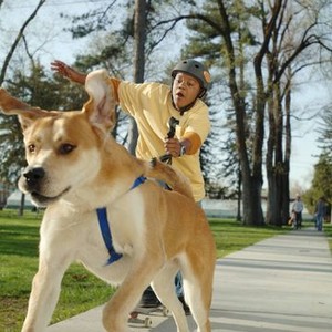 Life Is Ruff (2005) - Rotten Tomatoes