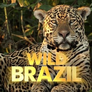 Wild Brazil - Rotten Tomatoes