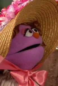 Sesame Street: Season 42, Episode 9 - Rotten Tomatoes