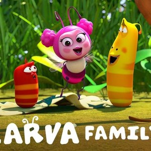 Larva Family - Rotten Tomatoes
