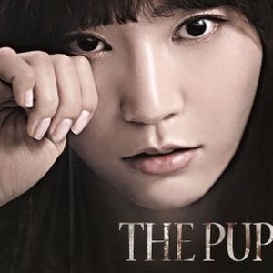 The Puppet - Rotten Tomatoes