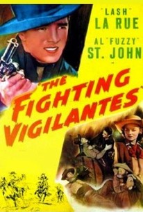 Fighting Vigilantes | Rotten Tomatoes