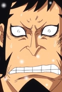 One Piece: Season 16, Episode 44 | Rotten Tomatoes