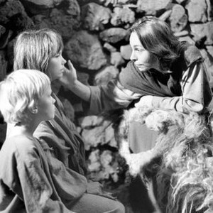 Björk - Rotten Tomatoes