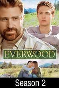 Everwood: Season 2 | Cast and Crew | Rotten Tomatoes
