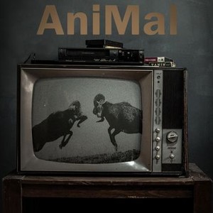 Animal - Rotten Tomatoes