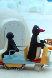 Pingu: Season 2, Episode 12 | Rotten Tomatoes