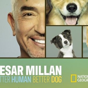Cesar Millan: Better Human Better Dog - Rotten Tomatoes