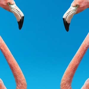 The Mating Game - Rotten Tomatoes