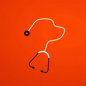 The Dog Doc - Rotten Tomatoes