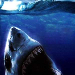 Shark Zone (2003) - Rotten Tomatoes