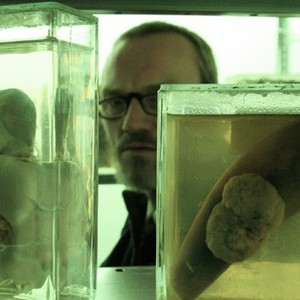 Jar City - Rotten Tomatoes