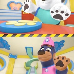 Pupstruction: Season 1, Episode 11 - Rotten Tomatoes